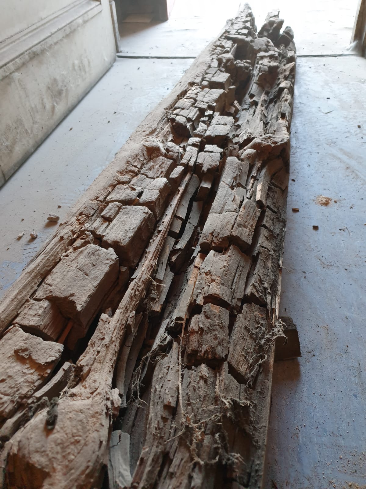 Dry Rot Repair Treatment Specialist